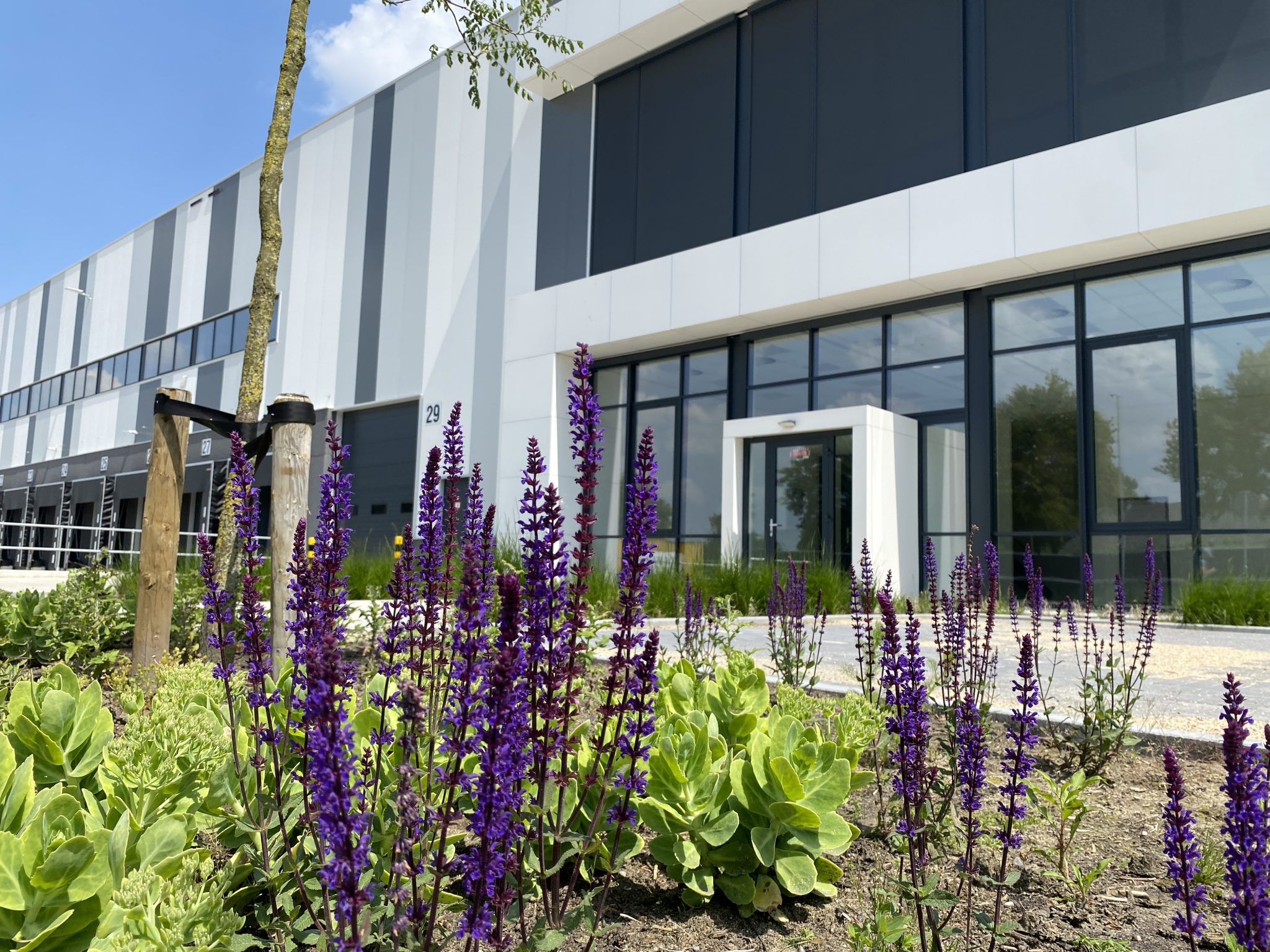 SAB-profiel voor kwaliteit en kwantiteit in sandwichpanelen en ...